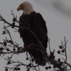 Hart's RV Park & Campground - hartpark.com